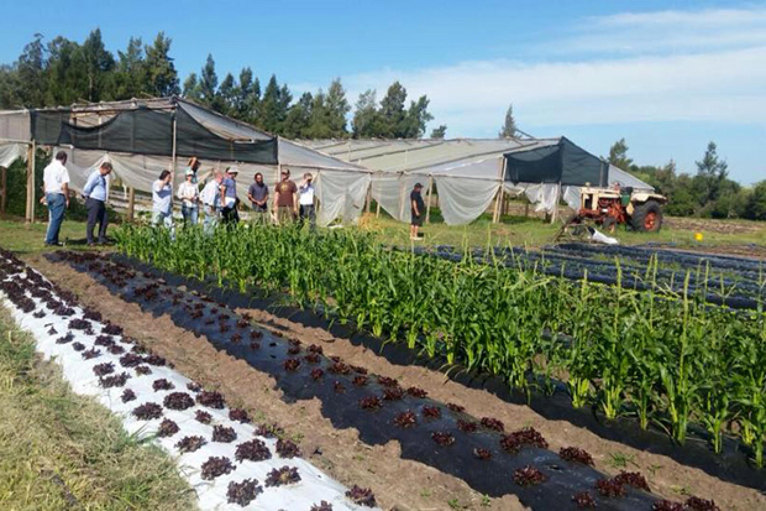 Treinta años de impulso al desarrollo de Montevideo rural | Intendencia ...